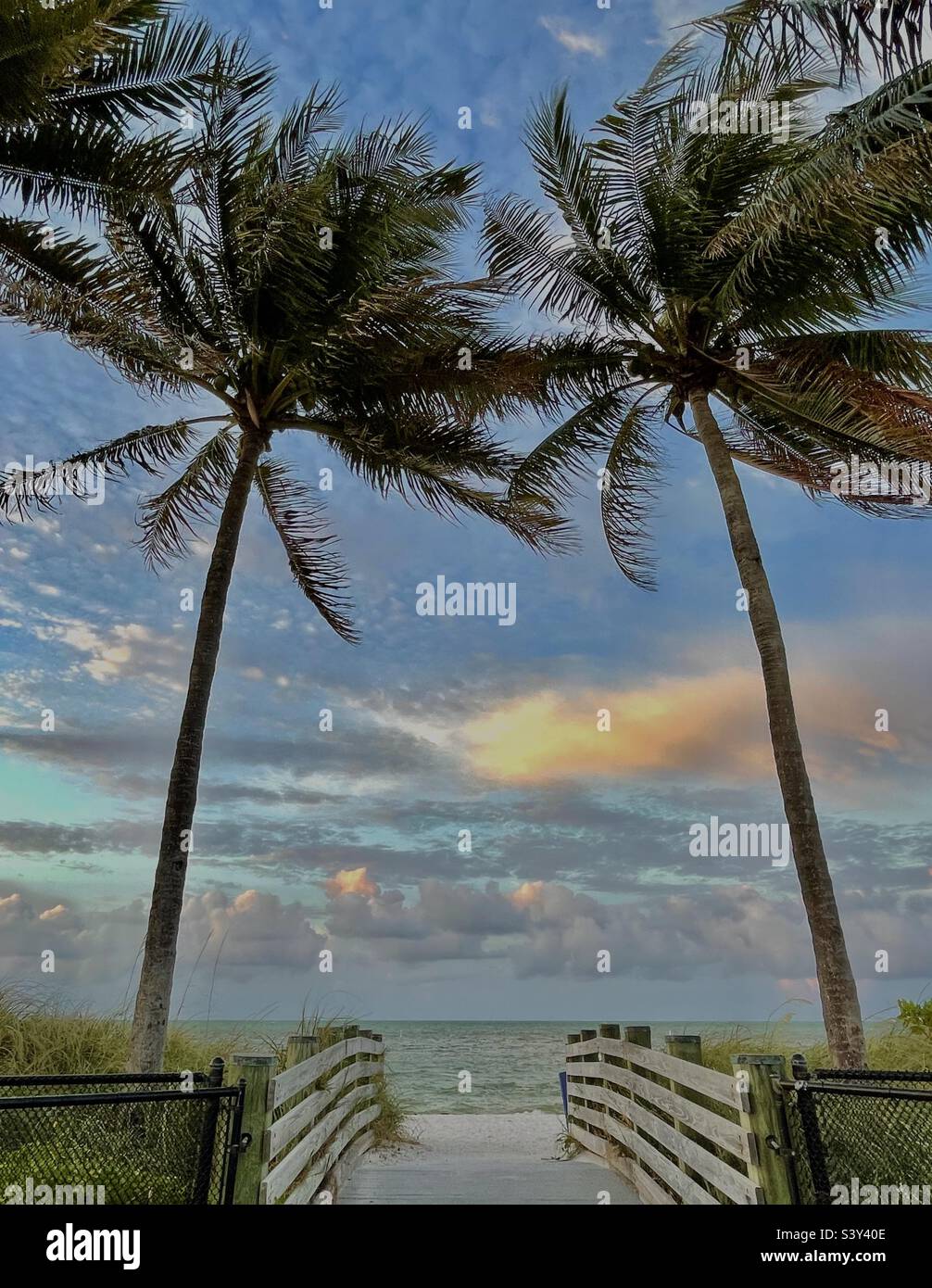 Beach marathon hi-res stock photography and images - Alamy