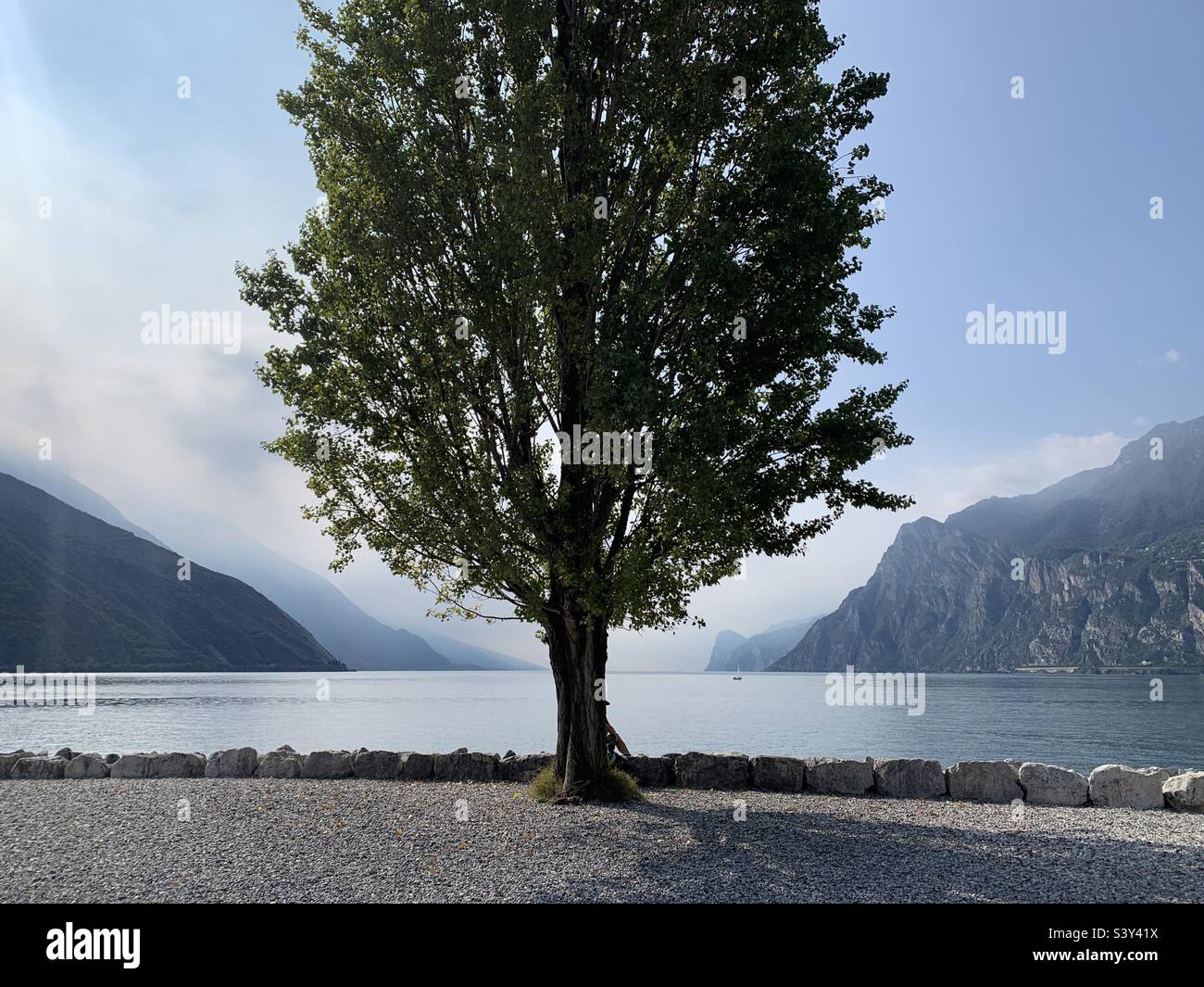 Lone lake hi-res stock photography and images - Alamy