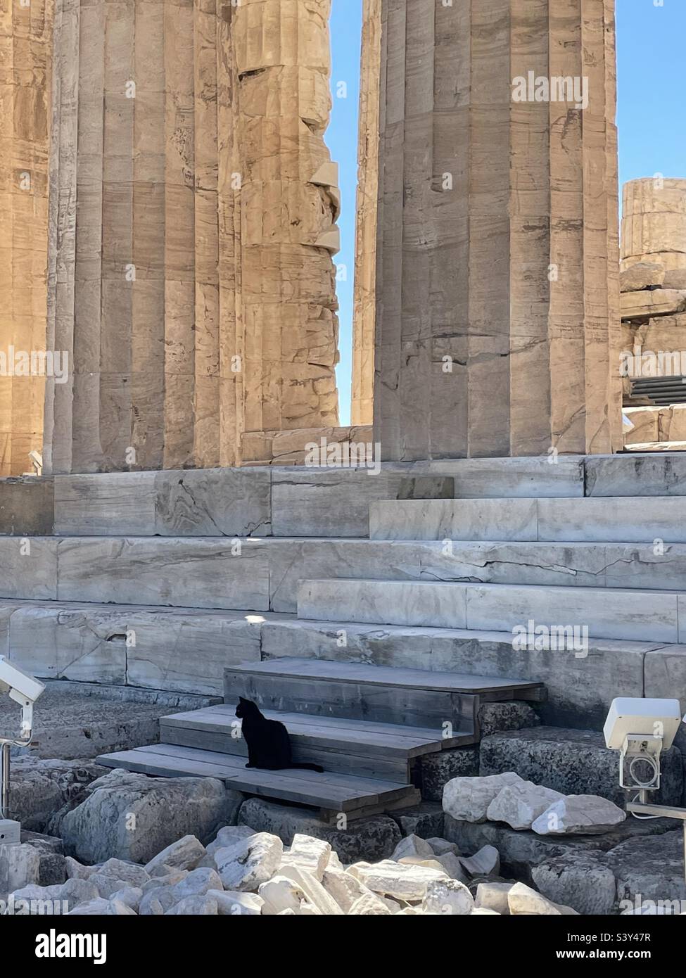 Athens cat hi-res stock photography and images - Alamy