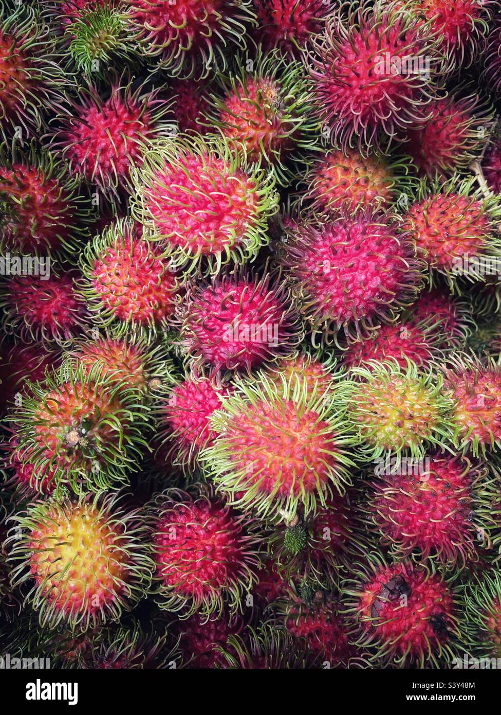 Rambutan fruits hi-res stock photography and images - Alamy