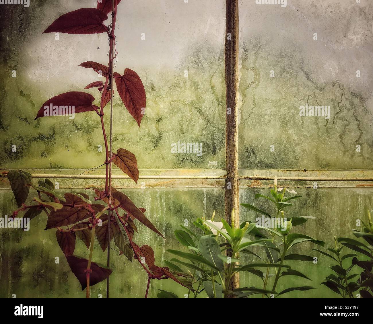 Dirty window hi-res stock photography and images - Alamy