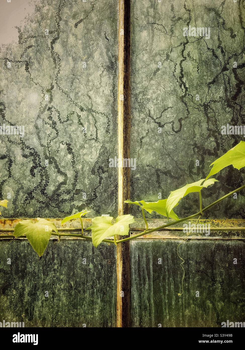 Dirty window hi-res stock photography and images - Alamy