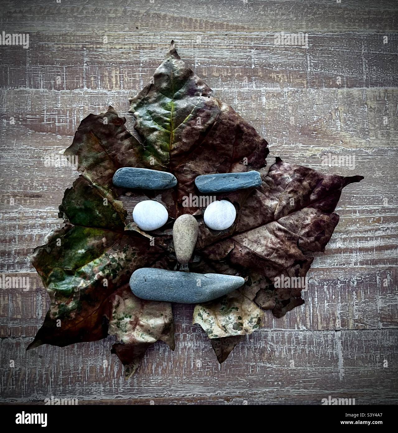 Leaf face hi-res stock photography and images - Alamy