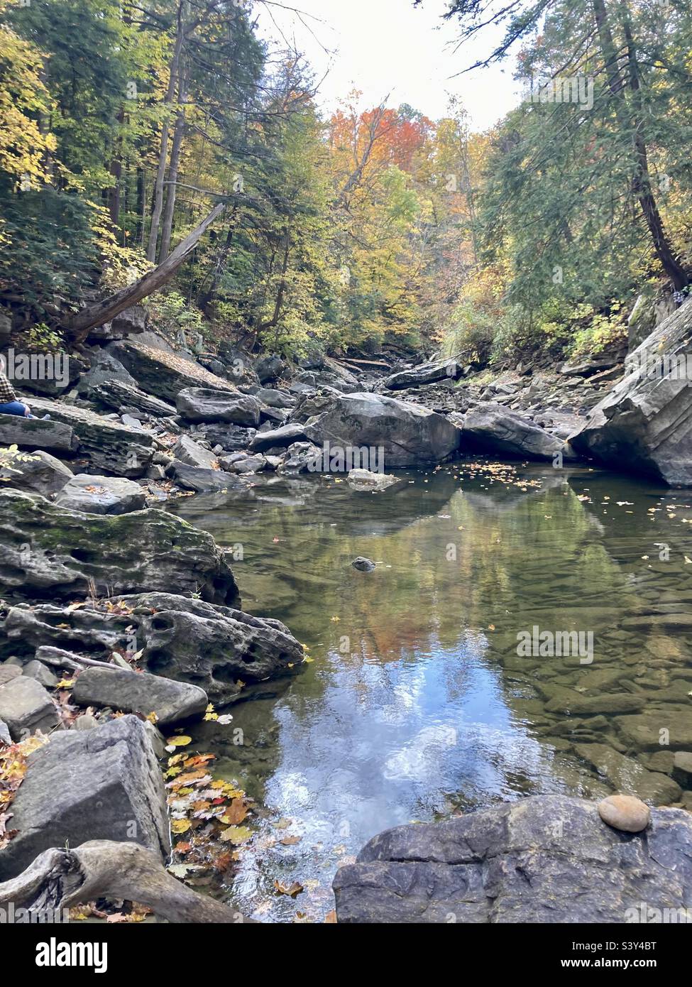 Amazing Fall scene from the riverbed Stock Photo - Alamy
