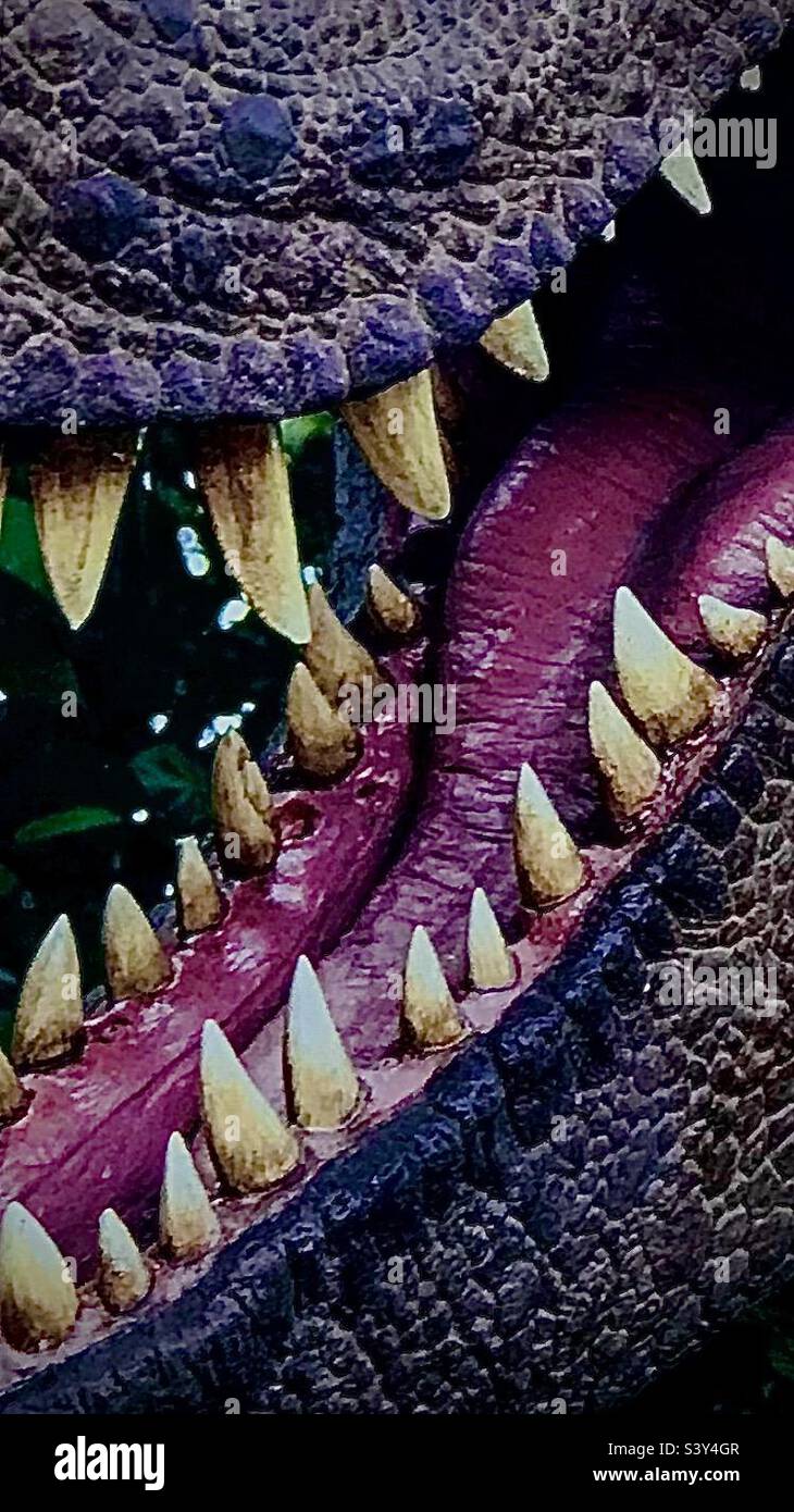 Teeth tongue hi-res stock photography and images - Alamy