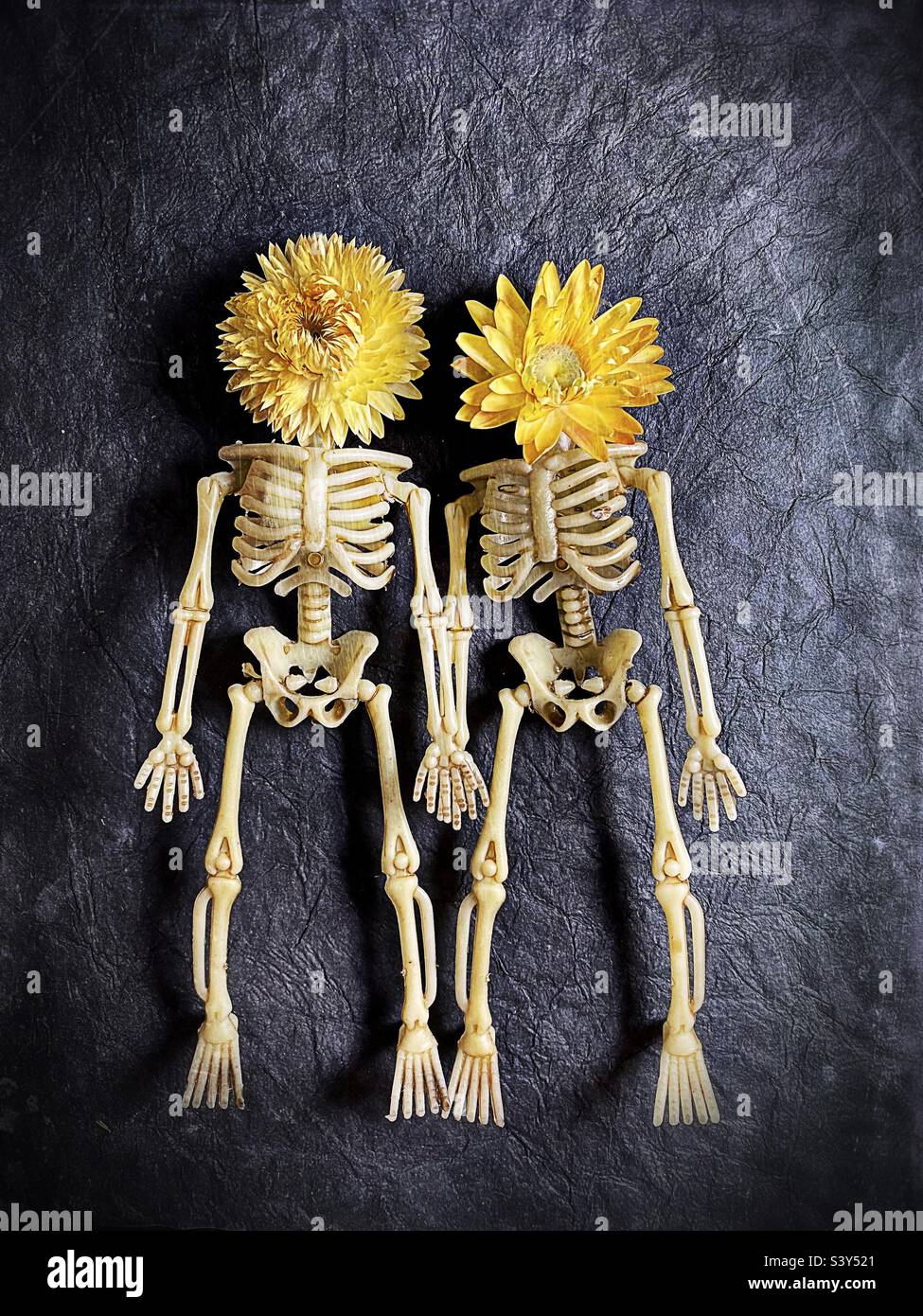 Skeleton couple hi-res stock photography and images - Alamy