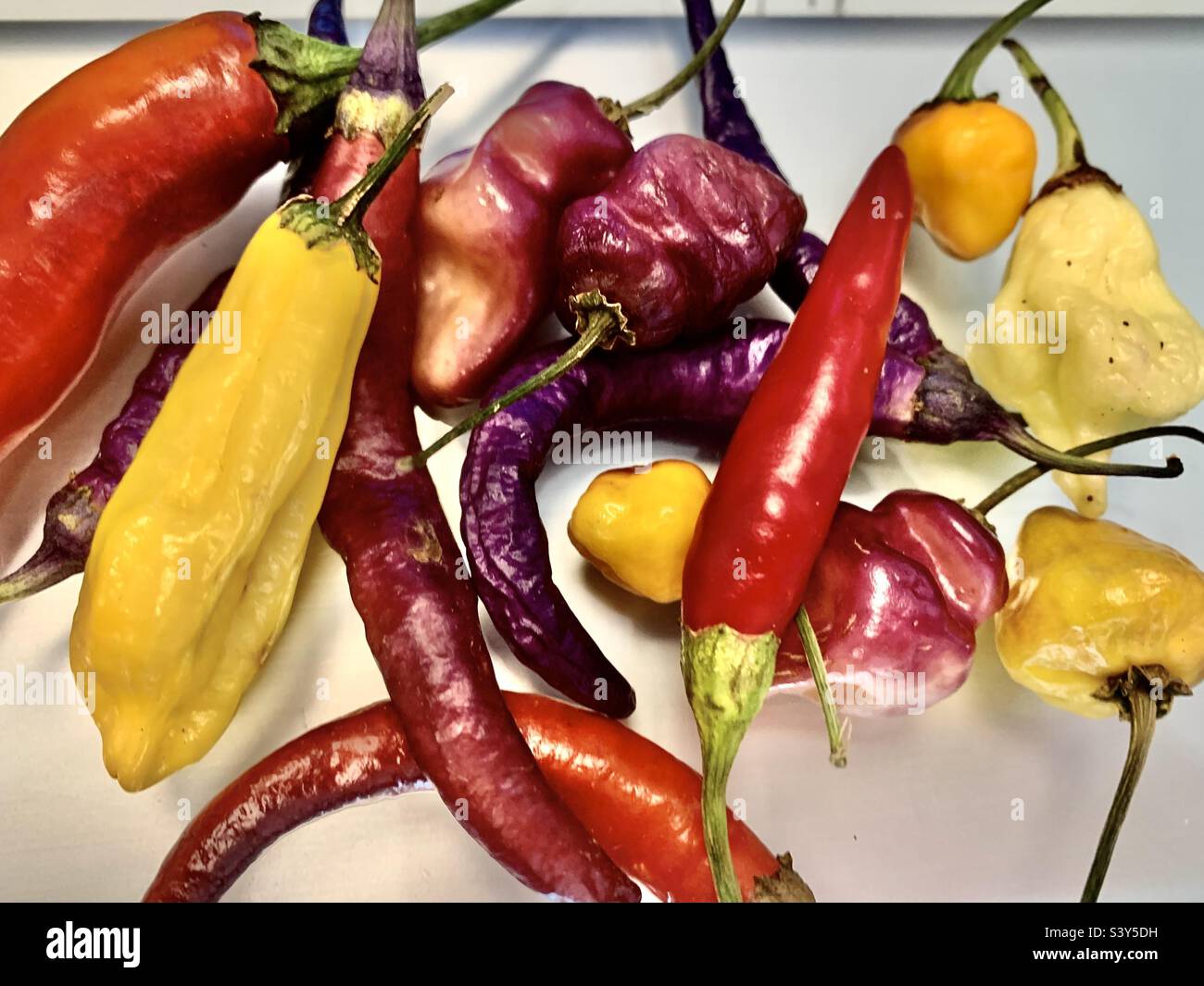 Yellow chillies hi-res stock photography and images - Alamy