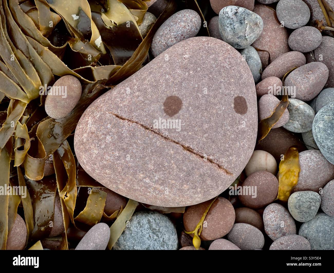 Pebble face hi-res stock photography and images - Alamy
