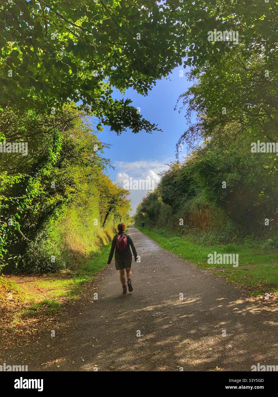 Woman walking towards Wadebridge on the Camel Trail in Cornwall Stock ...