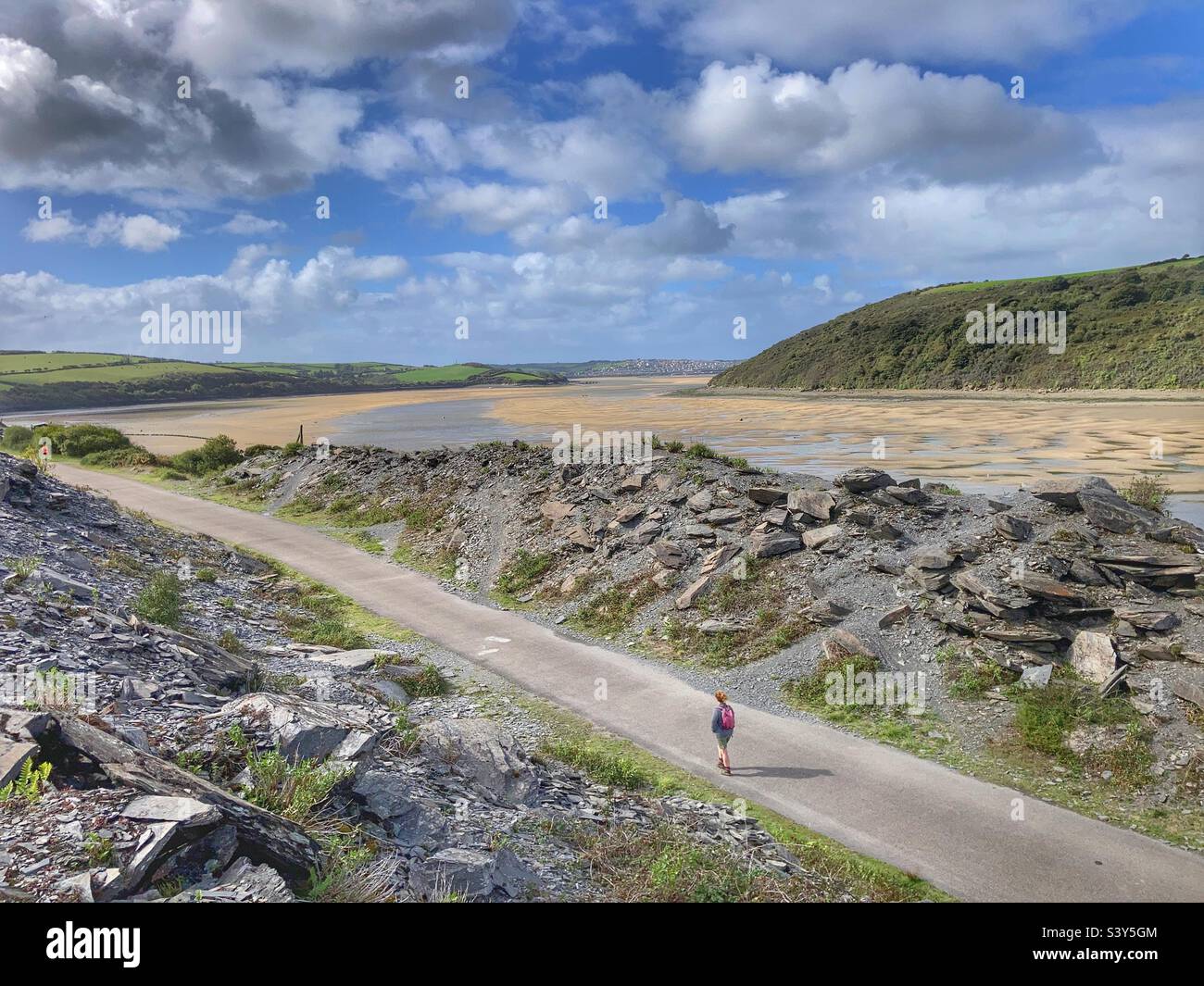 Woman walking towards Padstow on the Camel Trail Cornwall Stock Photo ...