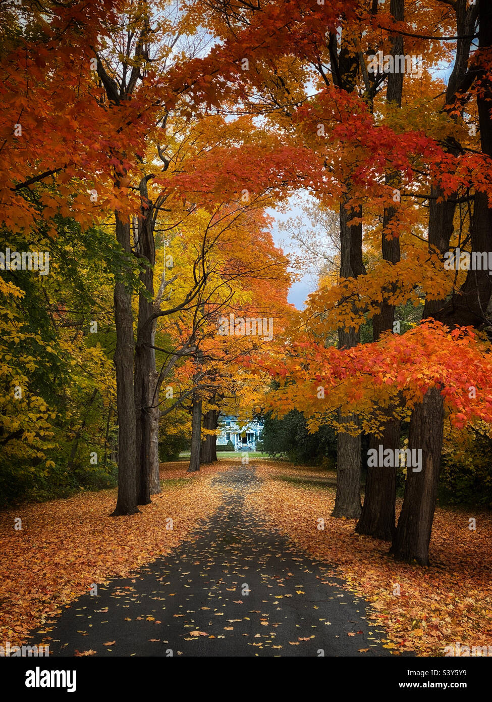 Fall house at end of road hi-res stock photography and images - Alamy