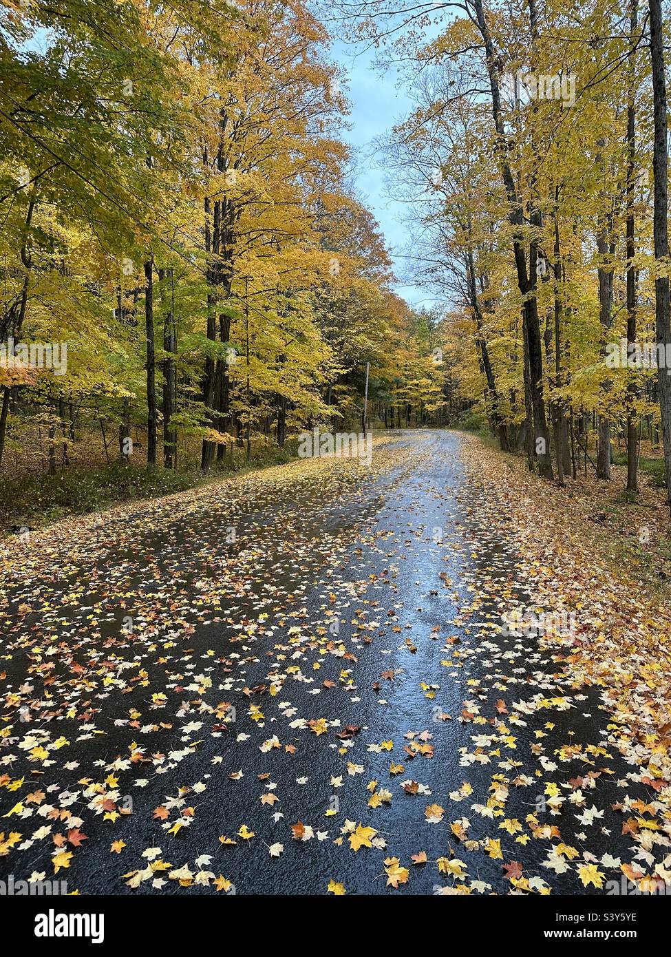 Fall colors in upstate new york hi-res stock photography and images - Alamy