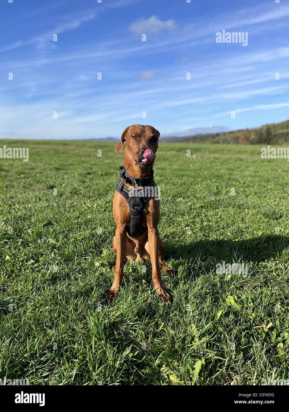 Draussen outside hi-res stock photography and images - Alamy