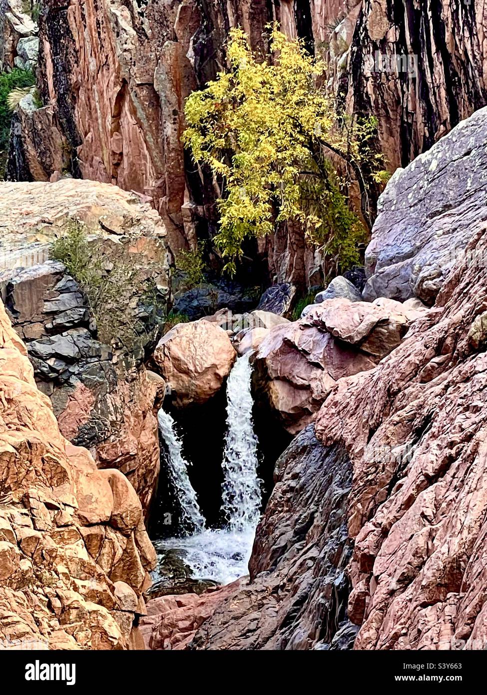 Tonto n hi-res stock photography and images - Alamy