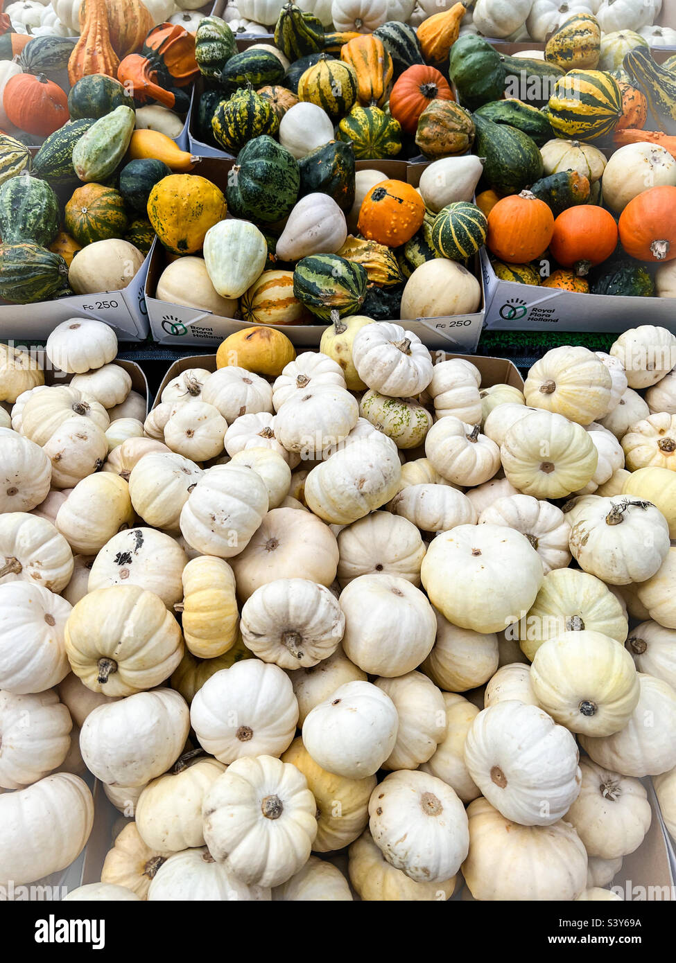 Gourds food hi-res stock photography and images - Alamy