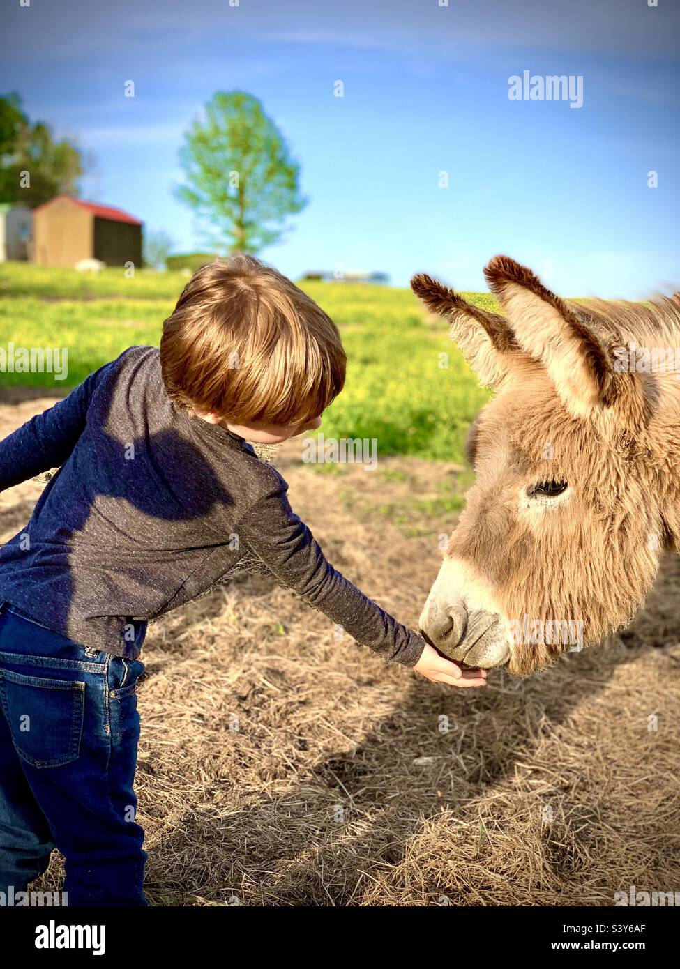 Donkey child hi-res stock photography and images - Alamy