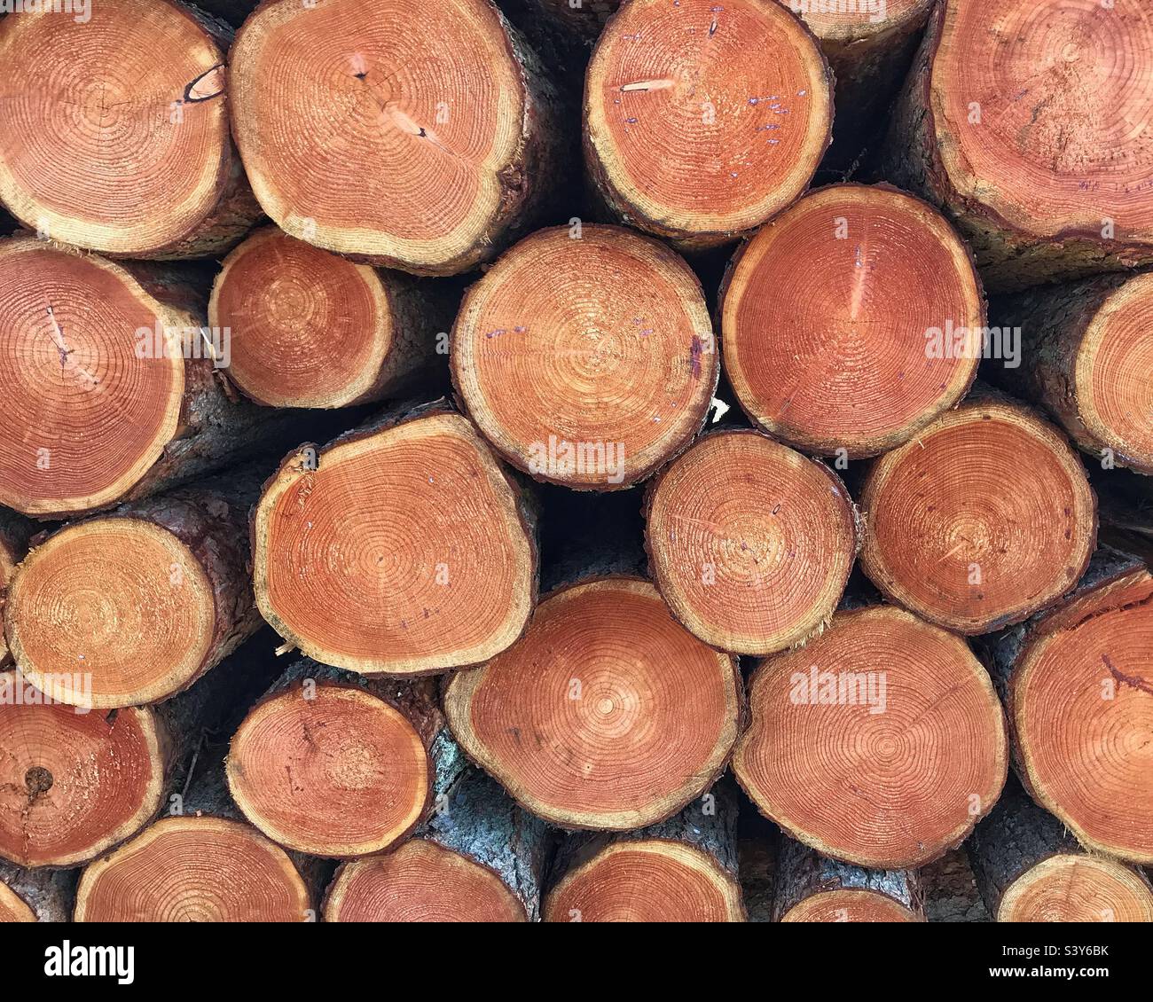Log stack hi-res stock photography and images - Alamy