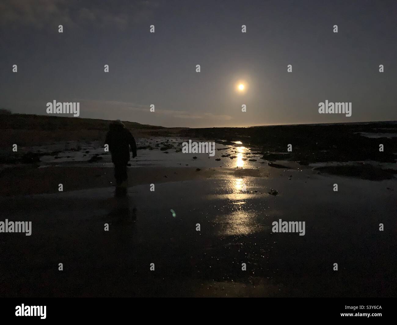 Moonlight beach hi-res stock photography and images - Alamy