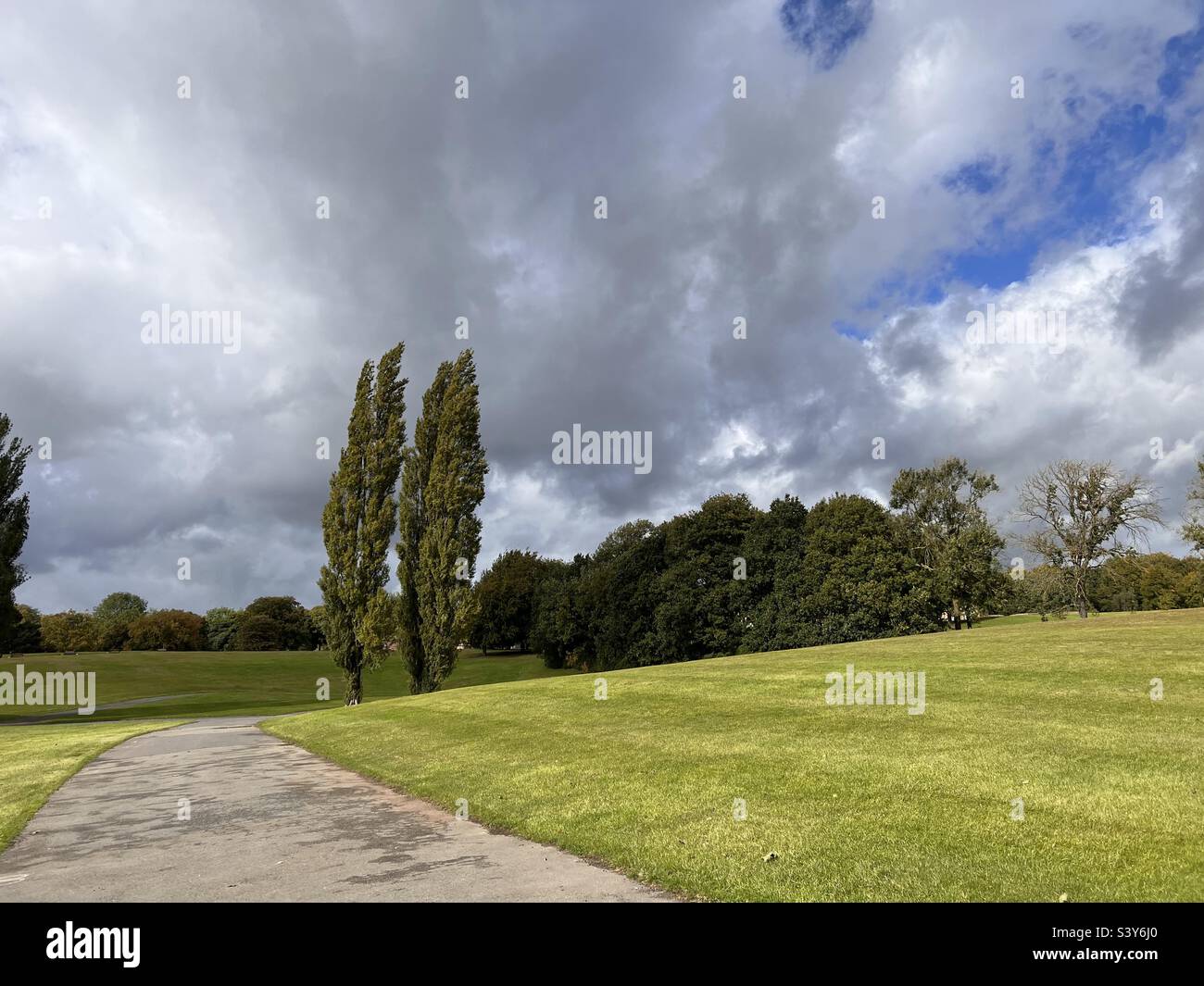 Beautiful meadows hi-res stock photography and images - Alamy