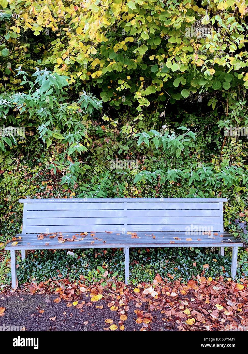 Park bench in autumn Stock Photo - Alamy