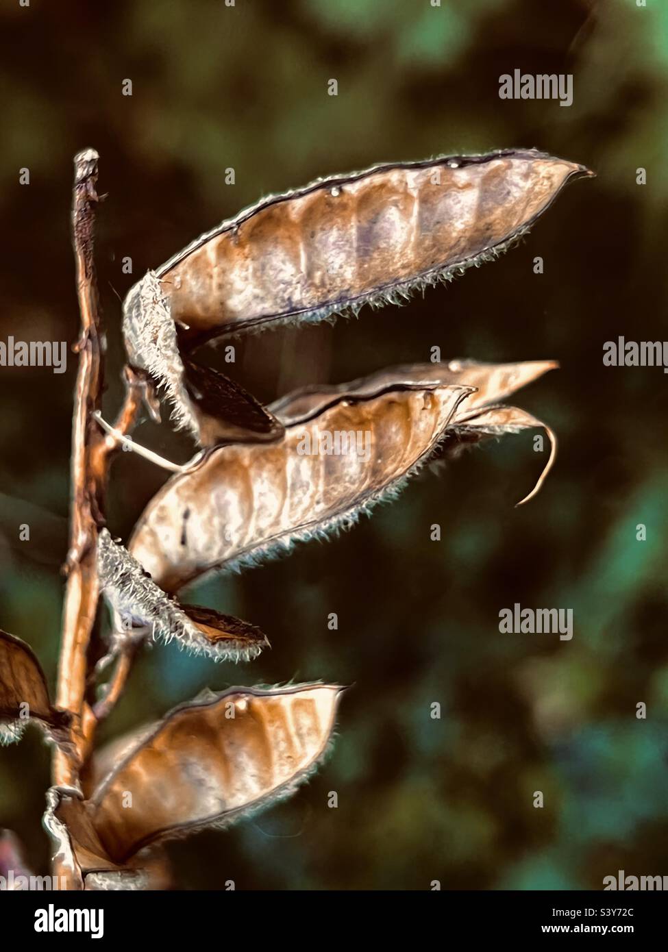 Living pods hi-res stock photography and images - Alamy