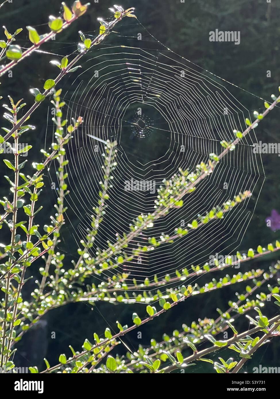 Signs of autumn hi-res stock photography and images - Alamy