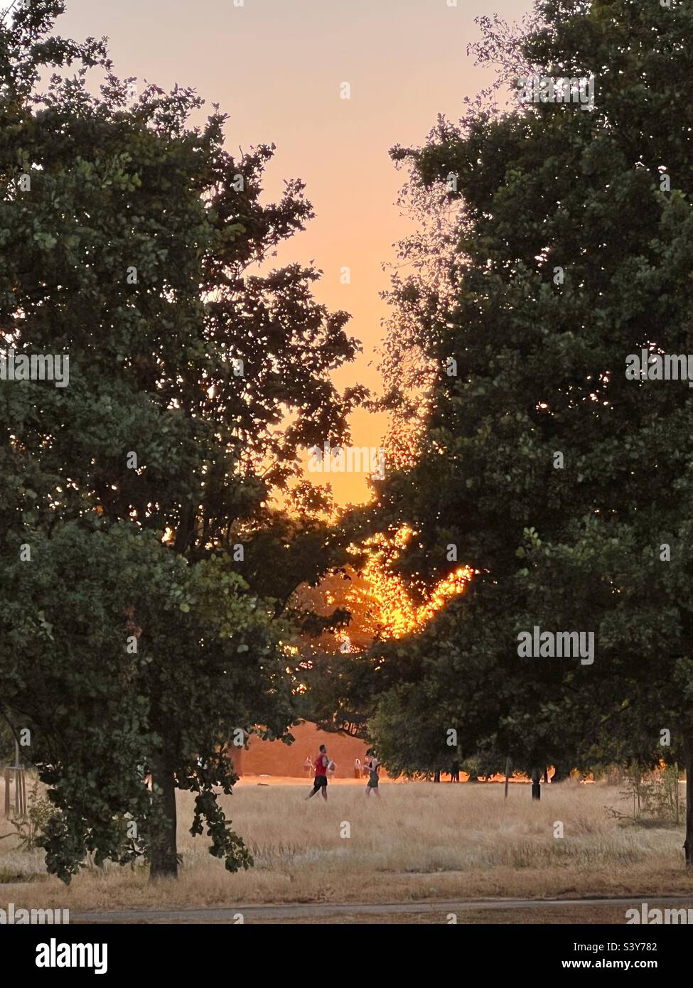 Clapham london summer hi-res stock photography and images - Alamy