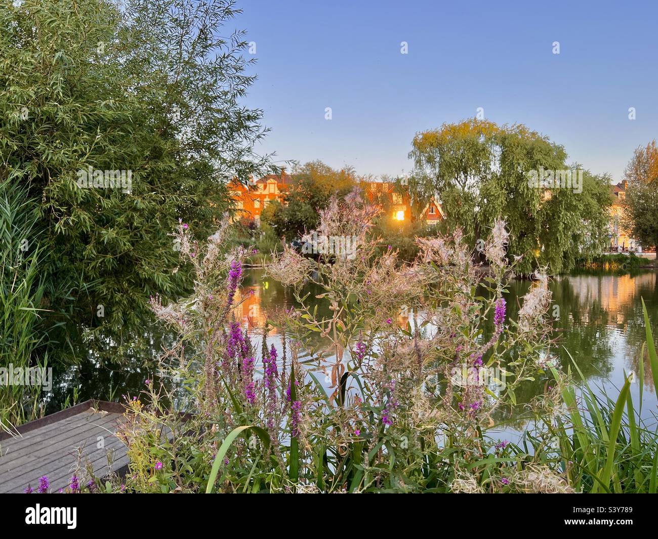 At clapham common in south london hi-res stock photography and images ...