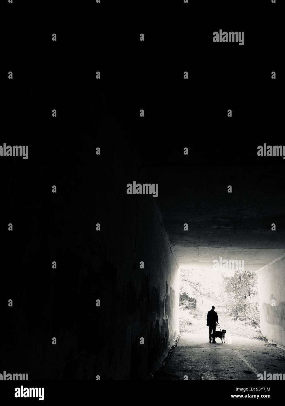 Lone man in a tunnel with a dog Stock Photo - Alamy
