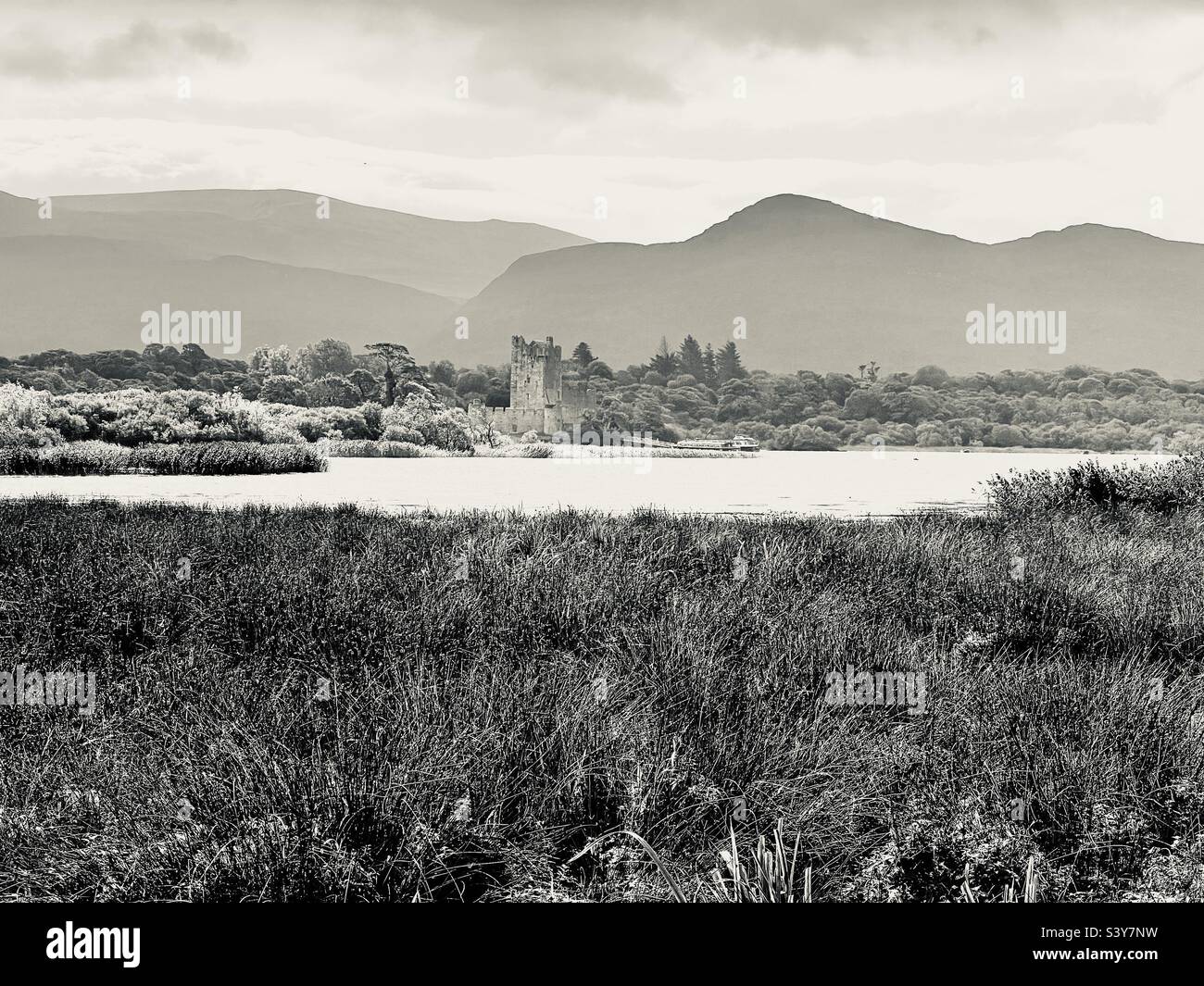 Muckross castle hi-res stock photography and images - Alamy