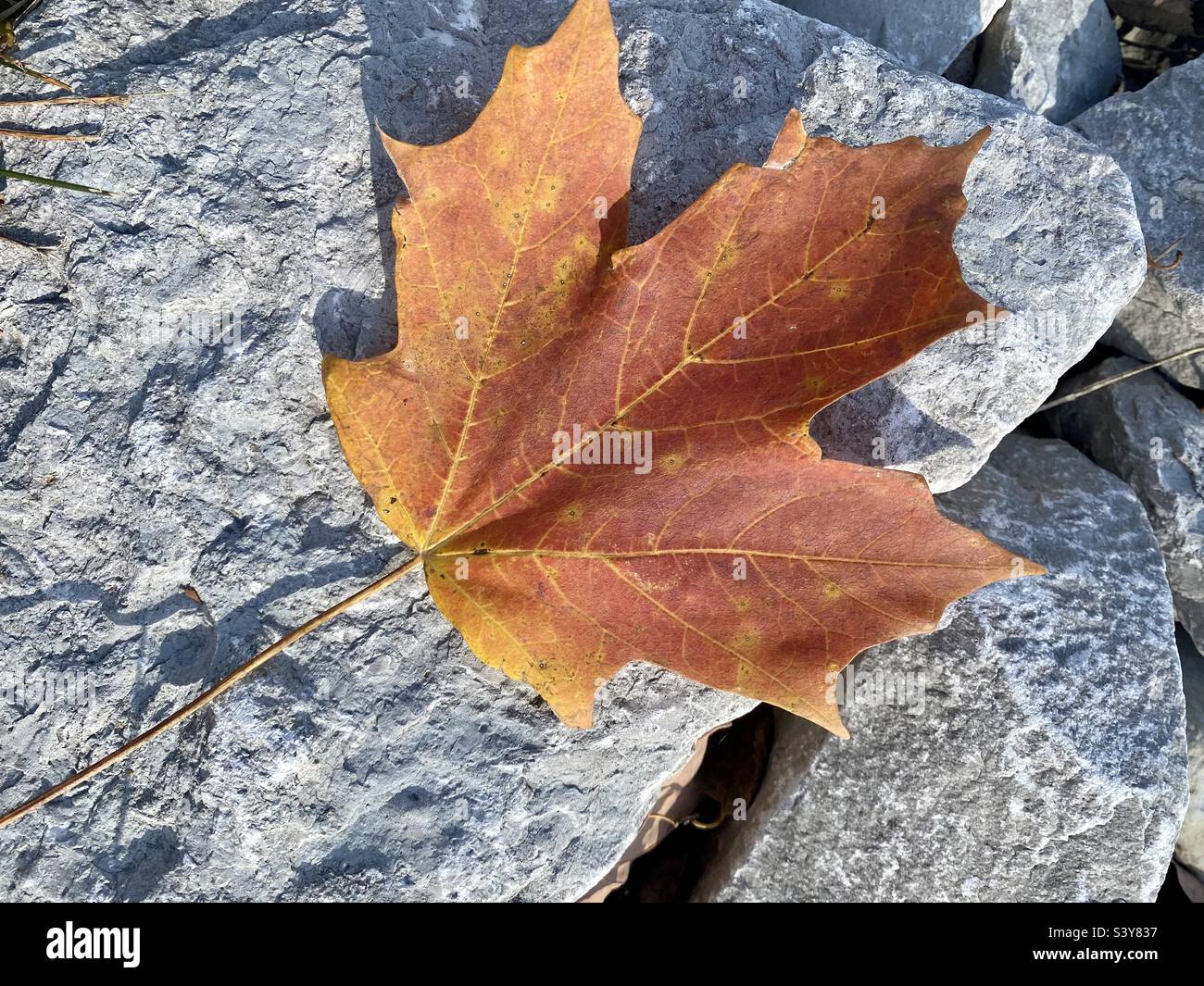Autumn rock hi-res stock photography and images - Alamy