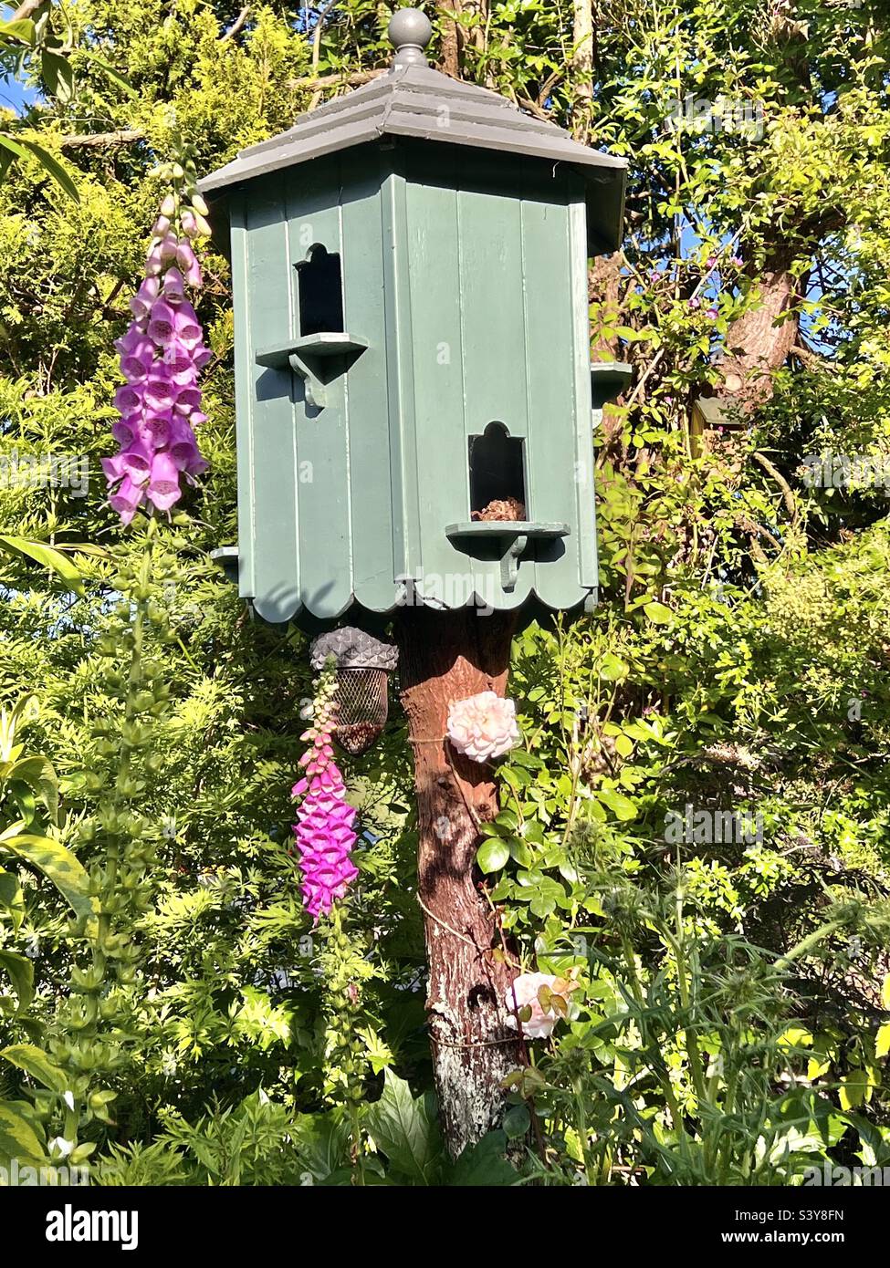 Close up of dovecote and bird nesting box in perfect English country ...