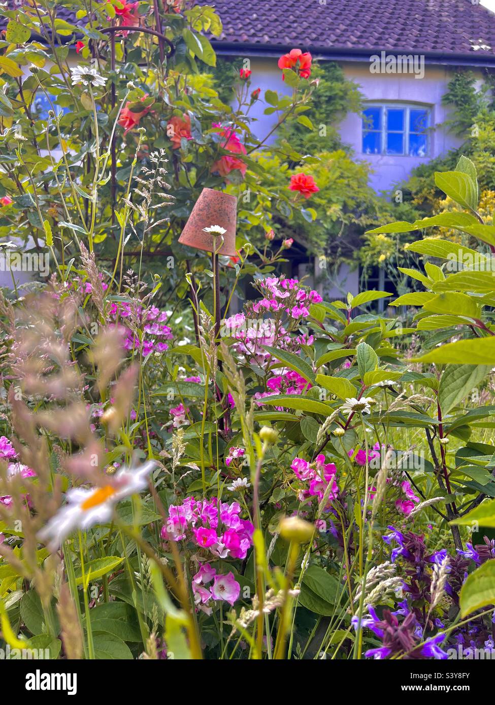 Flowers adorn the front of this English countryside cottage in summer ...