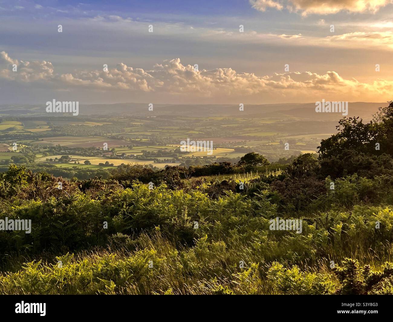 Bucolic hi-res stock photography and images - Alamy