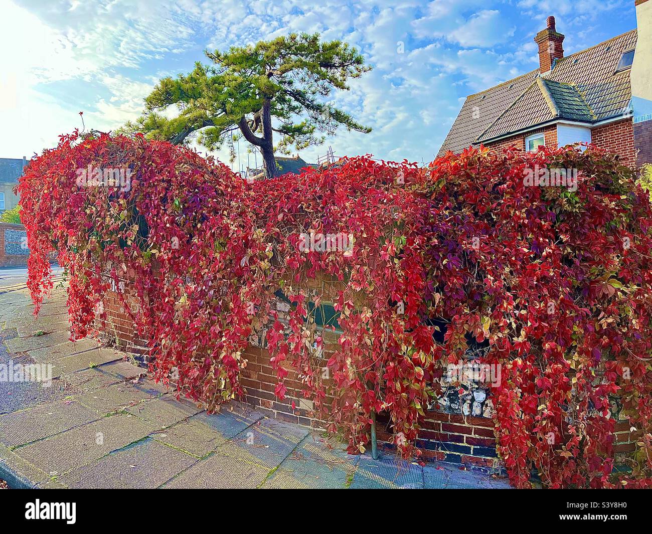 Trailer wall hi-res stock photography and images - Alamy