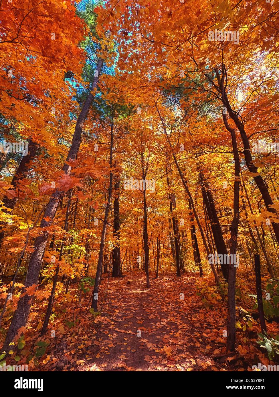 Barrie park hi-res stock photography and images - Alamy