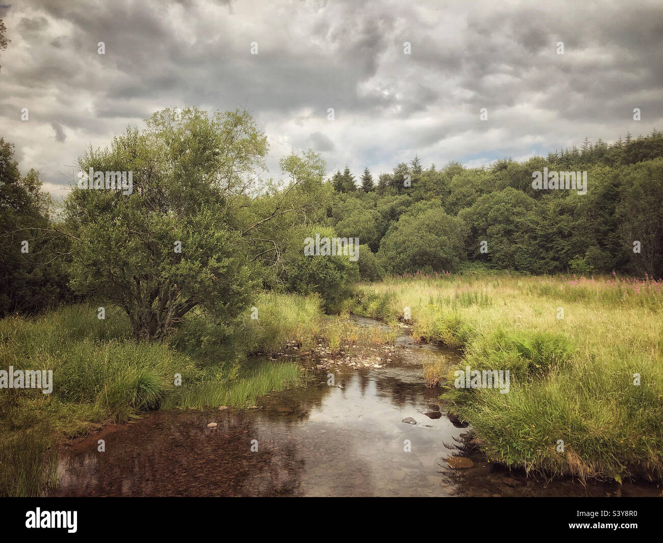 Stream, Brecon Beacons Stock Photo - Alamy