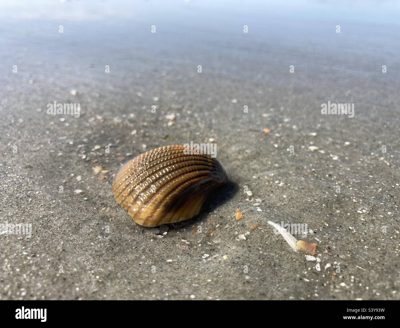 Ocean perspective hi-res stock photography and images - Alamy