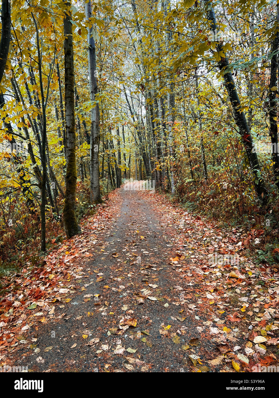 Fall trails hi-res stock photography and images - Alamy