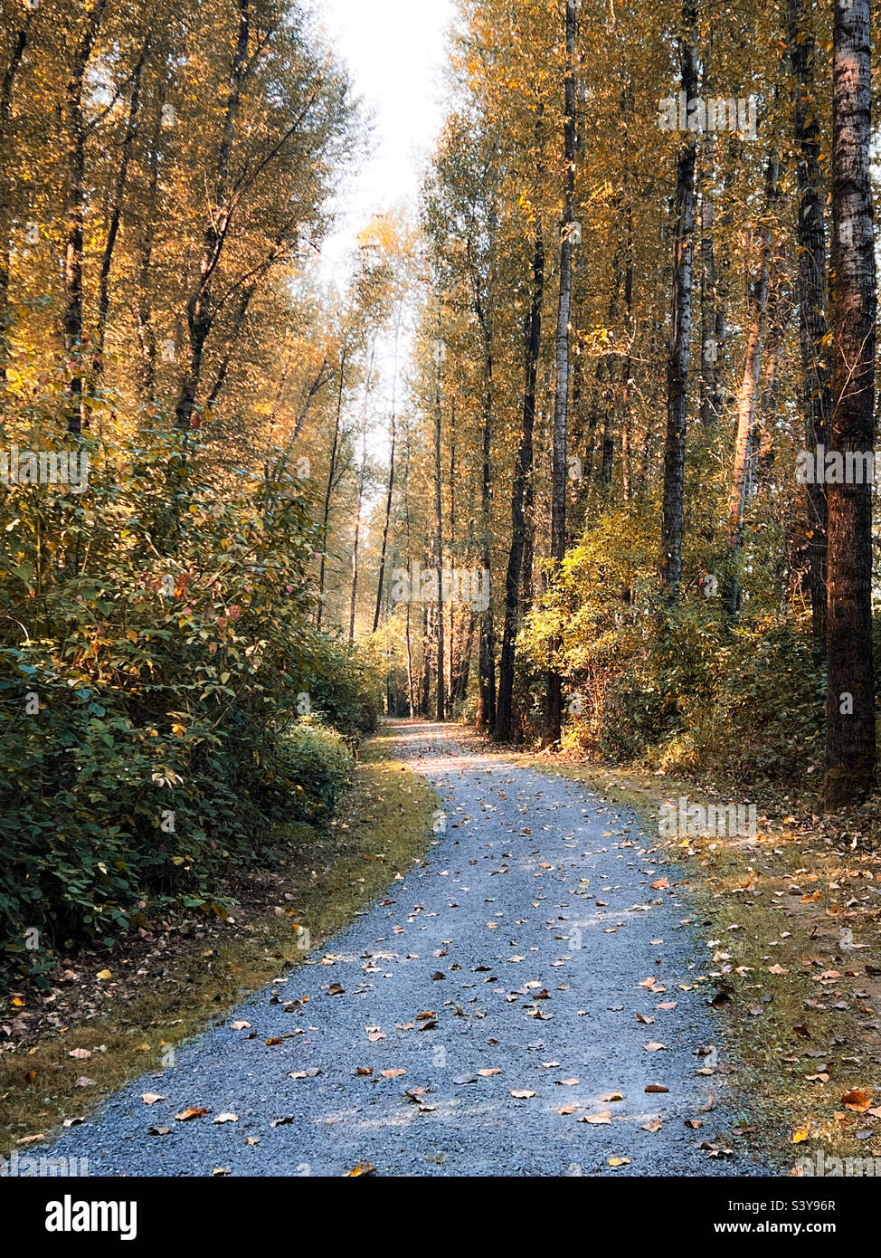Fall season october hi-res stock photography and images - Alamy