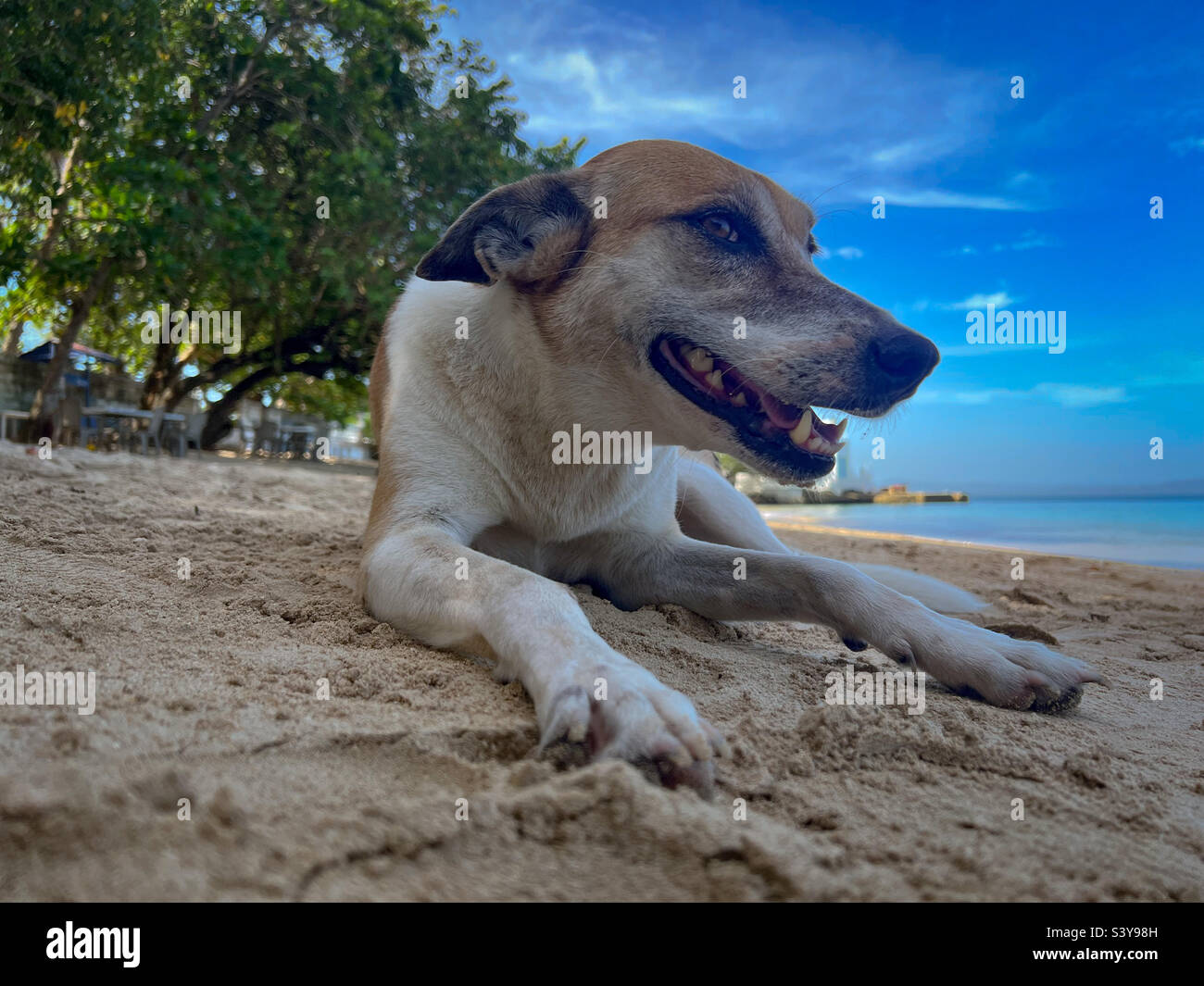 Rio san juan hi-res stock photography and images - Alamy
