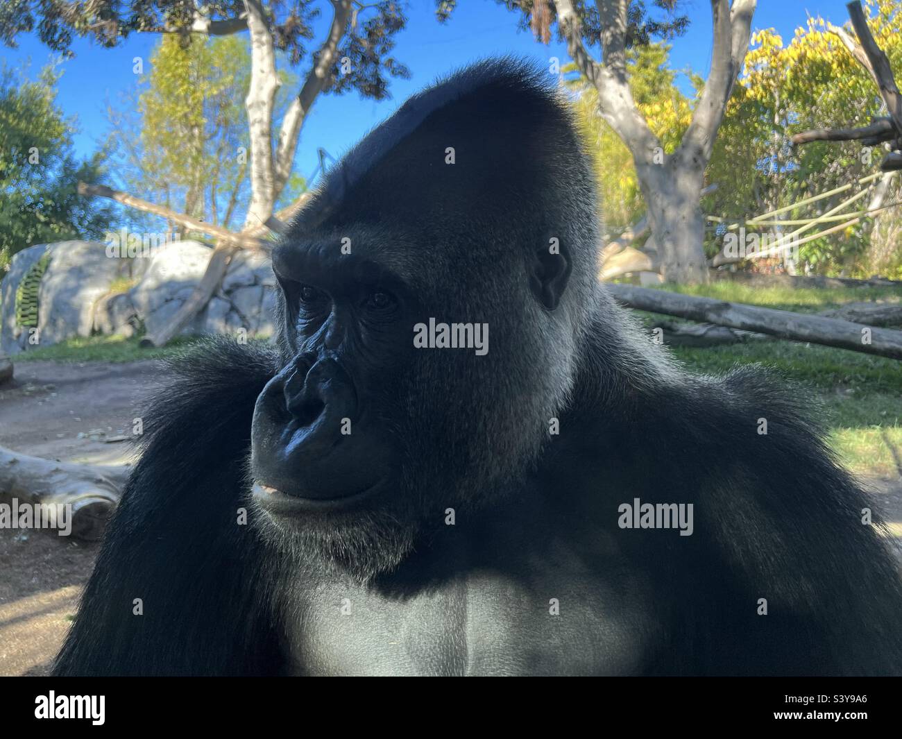 Zoo window hi-res stock photography and images - Alamy