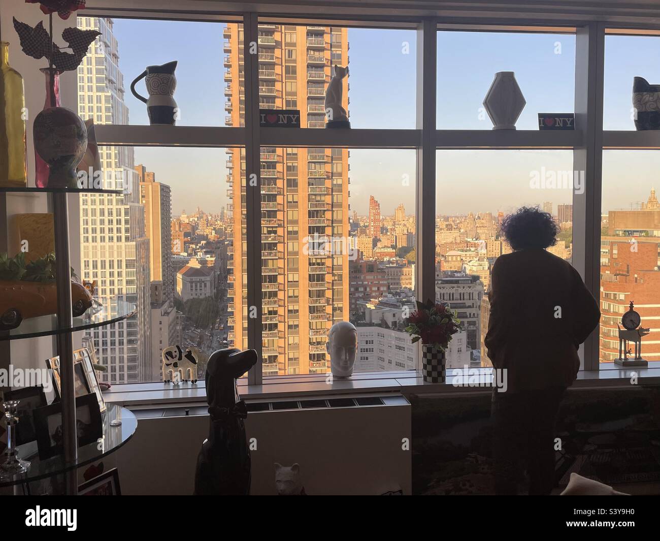 Manhattan Window View