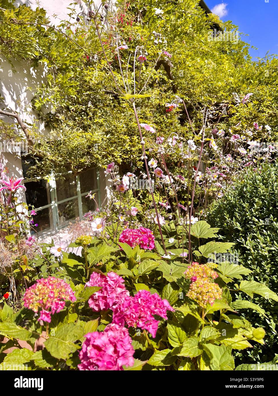 Cottage window view out hi-res stock photography and images - Alamy