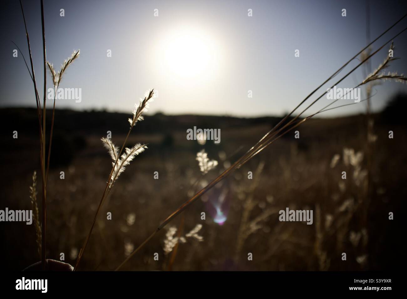 Nebraska nature hi-res stock photography and images - Alamy