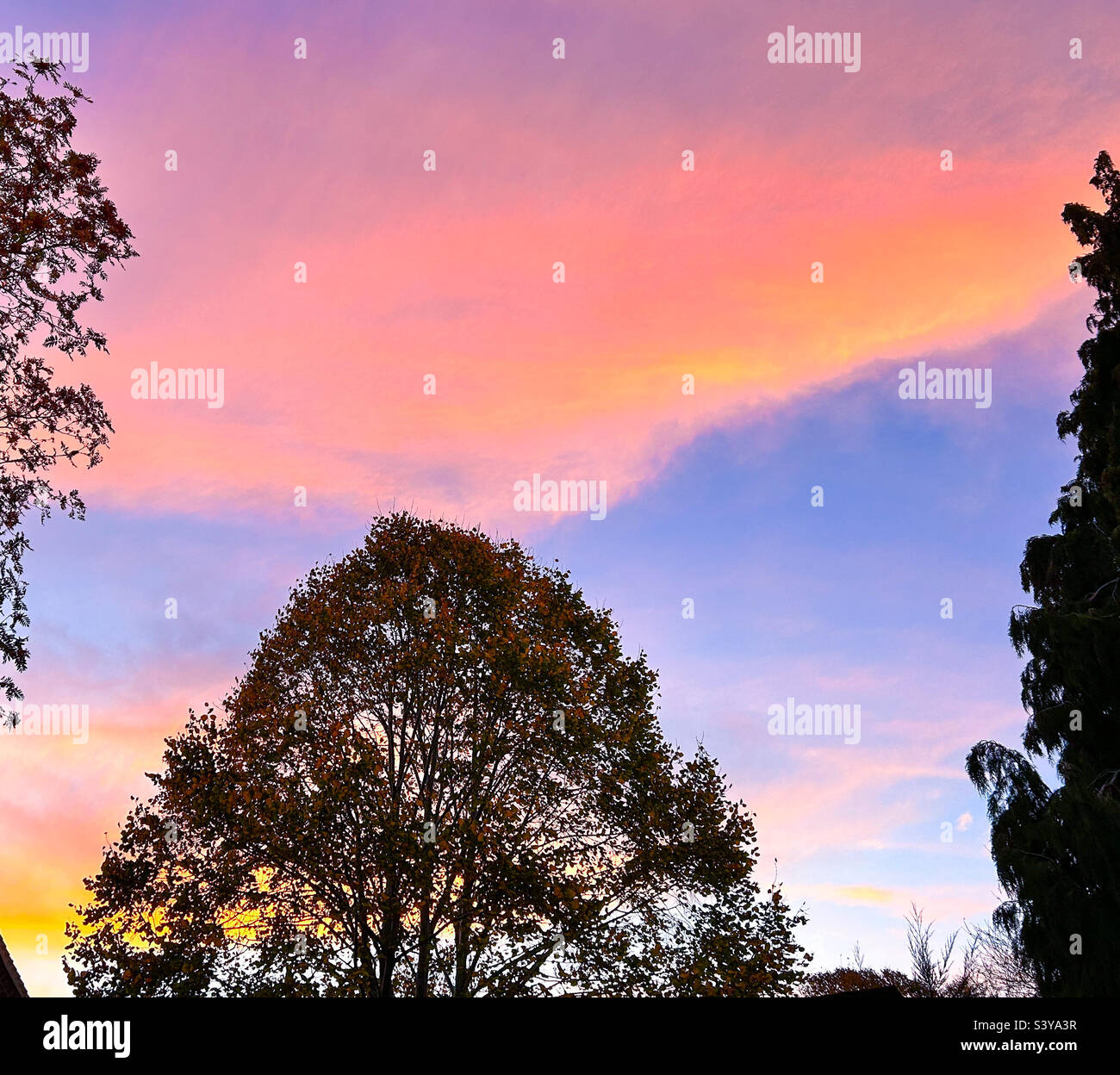 Sunset pink sky hi-res stock photography and images - Alamy