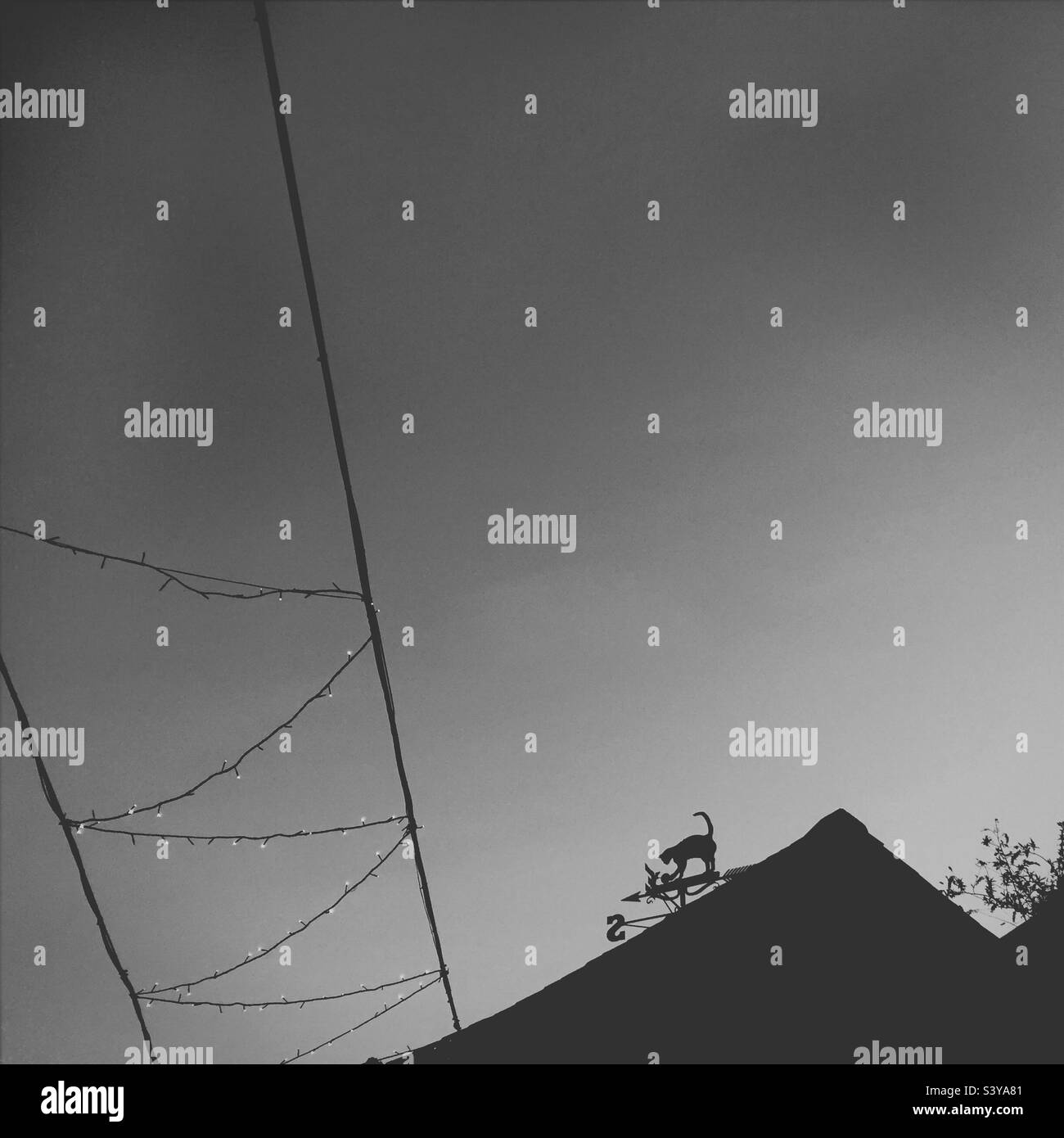 Weather vein hi-res stock photography and images - Alamy