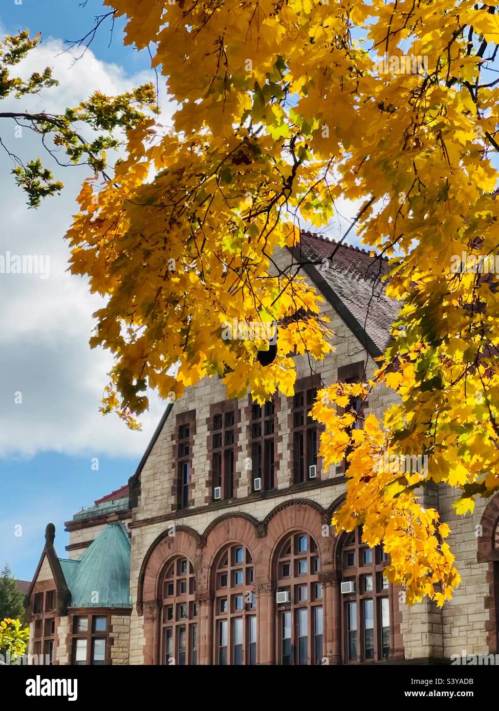 Beautiful maple hi-res stock photography and images - Alamy