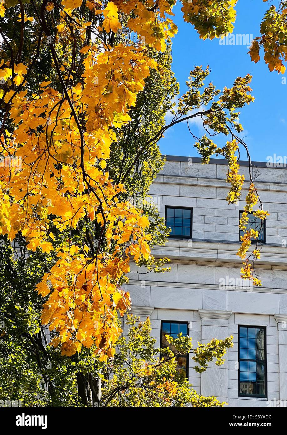 Beautiful autumn view hi-res stock photography and images - Alamy