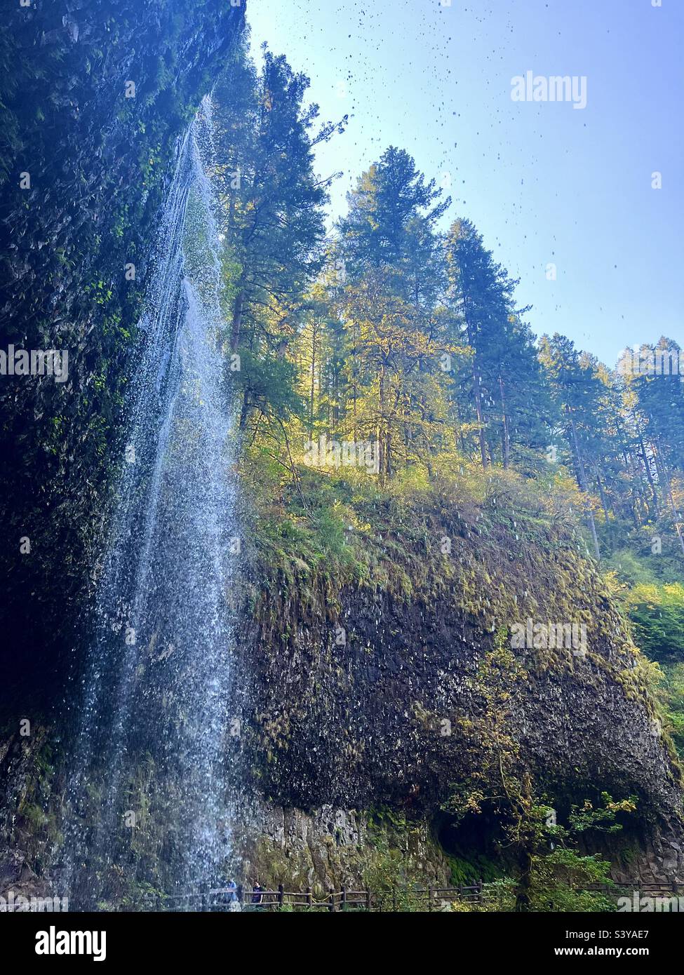 Silver State Park-Oregon Stock Photo - Alamy